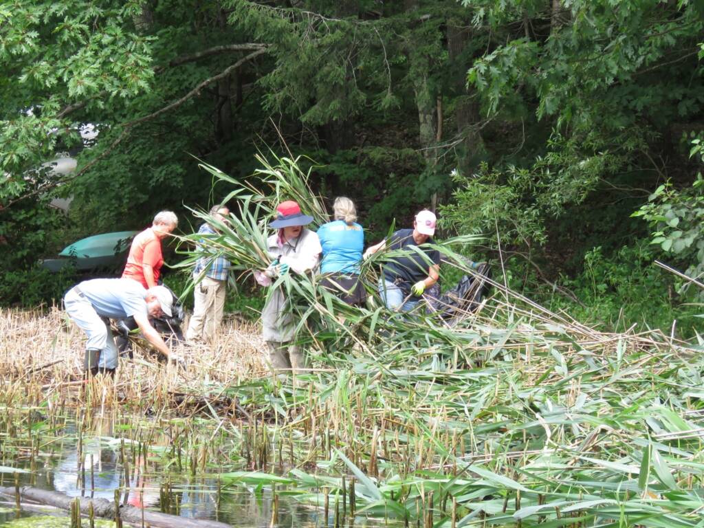 GIVE BACK WHERE IT COUNTS Reusable Bag - Shaw's GIVE BACK WHERE IT ...